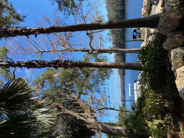 Yellow Jacket RV Resort Old Town Florida, Campground on Suwannee River