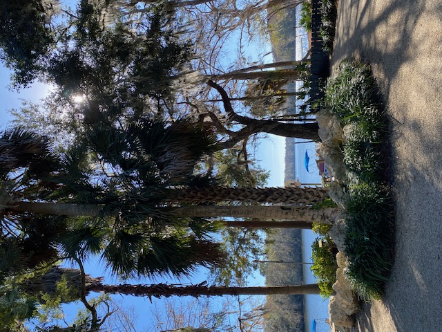 Yellow Jacket RV Resort Old Town Florida, Campground on Suwannee River