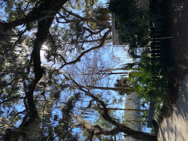 Yellow Jacket RV Resort Old Town Florida, Campground on Suwannee River